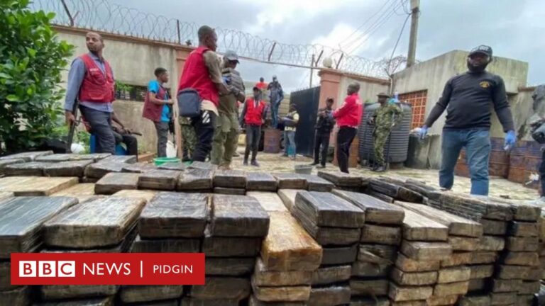 10 tonnes of cannabis seized, over 7,700 drug traffickers arrested in ...