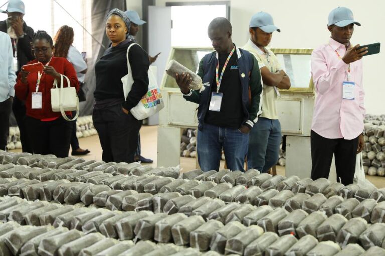 Renewable energy projects to watch ahead of Paris Energy Forum – Ghana ...